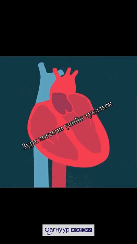 Яаралтай тусламжийн эрэмбэлэн ангилалт 🔵🔴🟡⚪️ Яаралтай тусламжийн эрэмбэлэн ангилалт 2021 оны