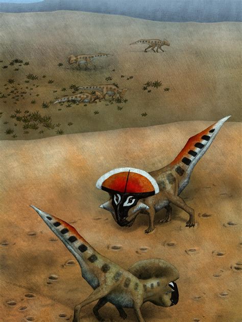 Velociraptor Vs Protoceratops By Krulos On Deviantart