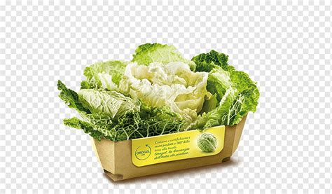 로메인 상추 사보이 양배추 브로콜리 채식 요리 봄 채소 브로콜리 자연 식품 잎 채소 음식 Png Pngwing
