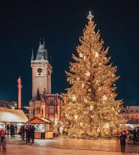 Найкрасивіші різдвяні ялинки Європи добірка фото