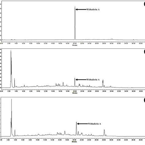 Hplc Chromatogram Of Withaferin A A Chromatogram Of Standard Download Scientific Diagram
