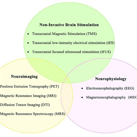 Diagram Showing The Different Non Invasive Brain Stimulation Download Scientific Diagram