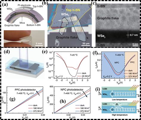Advancements In Transition Metal Dichalcogenides Tmdcs For Self