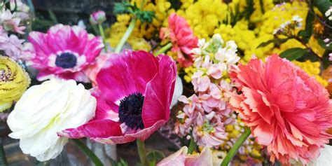 Mothers Day Brunch Reservations Sutter Buttes Brewing Brewery In