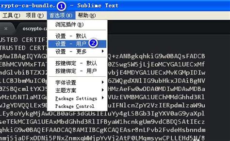 Sublime Text