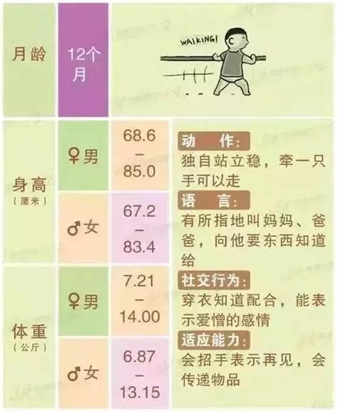 0 3歲嬰幼兒寶寶身高、體重、智力成長發育指標對照表 每日頭條