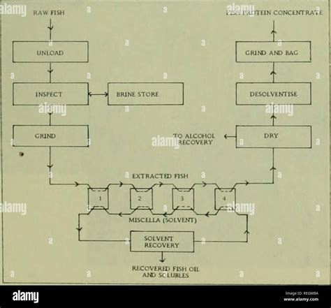Fish Process Plant Design Hi Res Stock Photography And Images Alamy