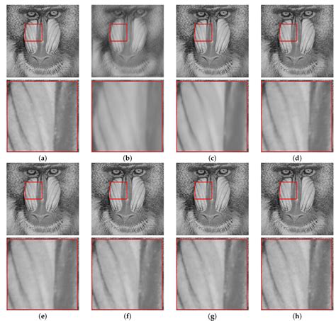 A Derivative Fidelity Based Total Generalized Variation Method For Image Restoration
