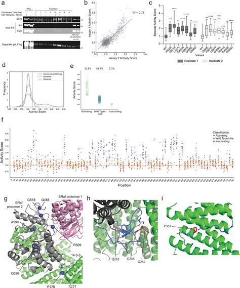 Massively Parallel Profiling Of Intracellular Protein Abundance Activity Interactions And