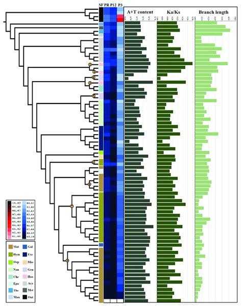 Systematic Errors In Phylogenetic Analyses Under Site Homogeneous Download Scientific Diagram