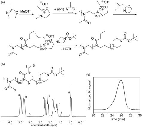 A Schematic Presentation Of The Synthesis Of Diblock Copolymer Download Scientific Diagram