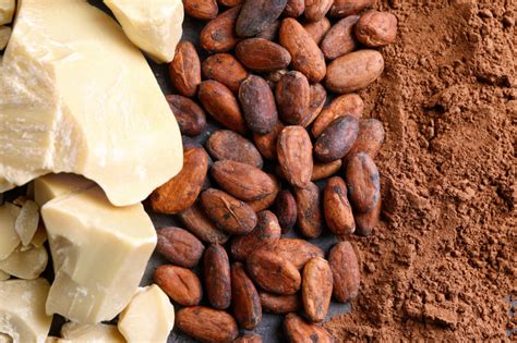 Mondelez Invests In Israeli Startup Making Cell Based Cocoa With Ai