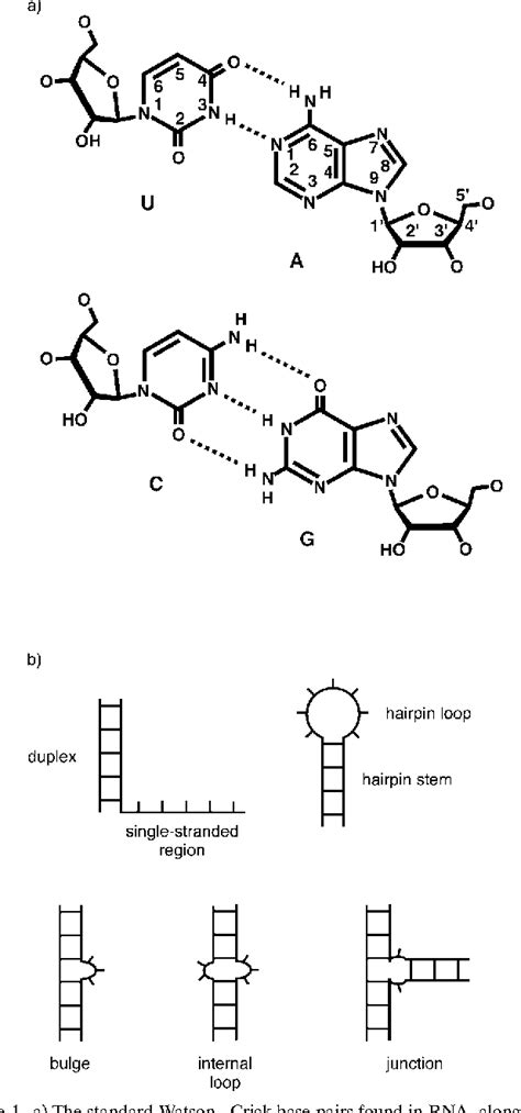 Tertiary Structure Of Rna