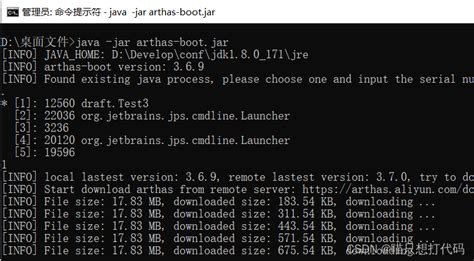 Java 诊断工具 Arthas Boot 安装步骤及常用命令 Csdn博客 Java 诊断工具 Arthas Boot 安装步骤及常用命令 Csdn博客