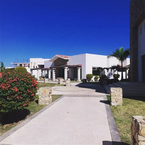 Alamo Grande Alamogrande • Instagram Photos And Videos
