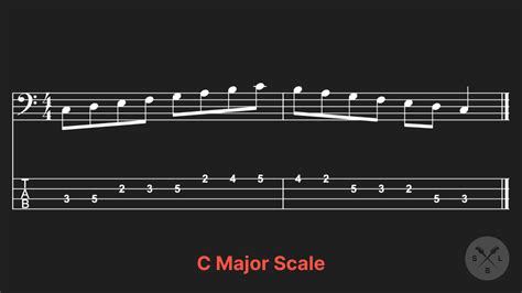 Blog Everything You Need To Know About Bass Scales With Tabs And