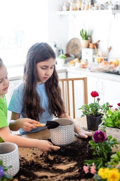 Premium Photo Live Botany Lessons In The Kitchen While Homeschooling