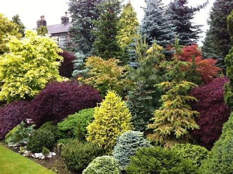 Beautiful Combo Of Colors And Textures Evergreen Landscape Front Yard Conifers Garden