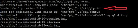 How To Install IonCube Loaders For Virtualmin LEMP Server Vpsfix