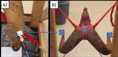 Experimental Vibrational Analysis A Sensor Attachment Accelerometers Download Scientific
