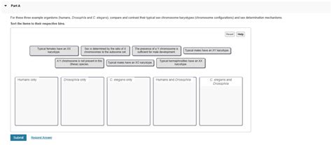 Solved Part Afor These Three Example Organisms Humans
