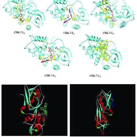 Elemental Analysis Data Of Schiff Base Ligands And Their Coii