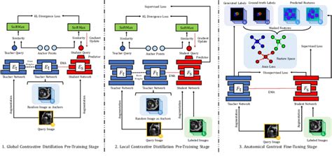 Overview Of The Action Framework Including Three Stages 1 Global