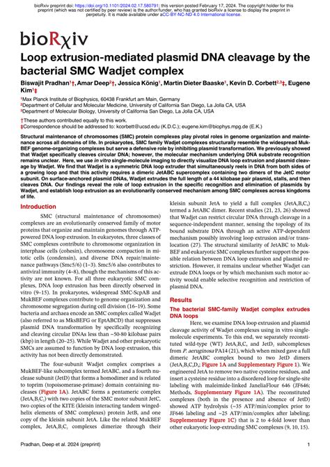 Pdf Loop Extrusion Mediated Plasmid Dna Cleavage By The Bacterial Smc Wadjet Complex