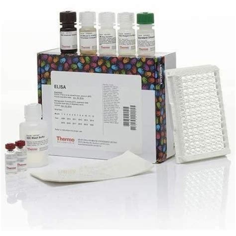 Elisa Testing Kit At ₹ 6000kit Elisa Based Diagnostic Kit In