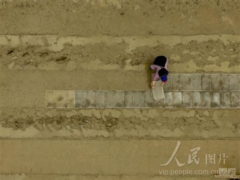 广西灵川：水稻育秧备耕忙 人民图片网