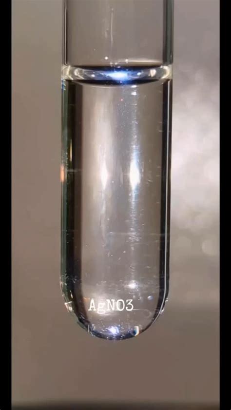 Salar Shafei Shimi Shafei • Instagram Photos And Videos