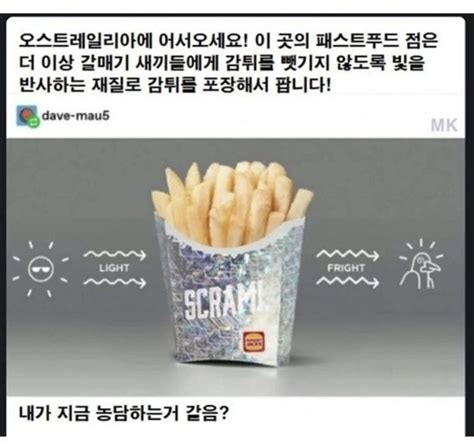 호주의 감자튀김 포장 유머움짤이슈 에펨코리아