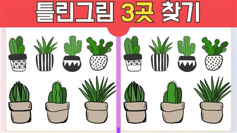 기억력 향상 프로젝트 다양한 선인장 화분 틀린그림찾기 Find The 3 Differences 집중력 기억력 다른그림