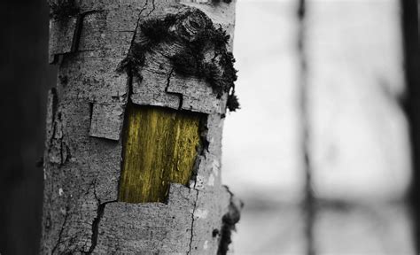 Hands On With Feature Engineering Techniques Imputing Missing Values Fritz Ai