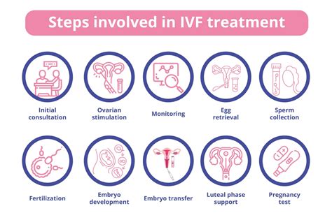 Ivf Clinic Guide How Long Is The Ivf Process From Start To Finish