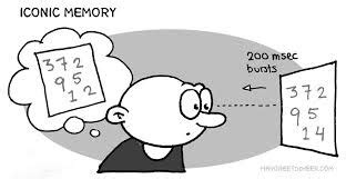 Memory Questions Flashcards Quizlet Memory Questions Flashcards Quizlet