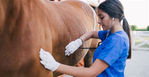 Ημερίδα Ενημέρωσης για Κτηνιατρική Γιατί το Πανεπιστήμιο Λευκωσίας είναι η Ιδανική Επιλογή για