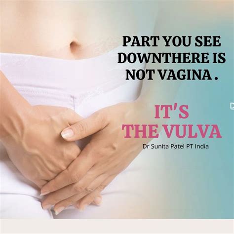 Dr Sunita Patel Pelvic Floor Therapist India On Linkedin Vagina