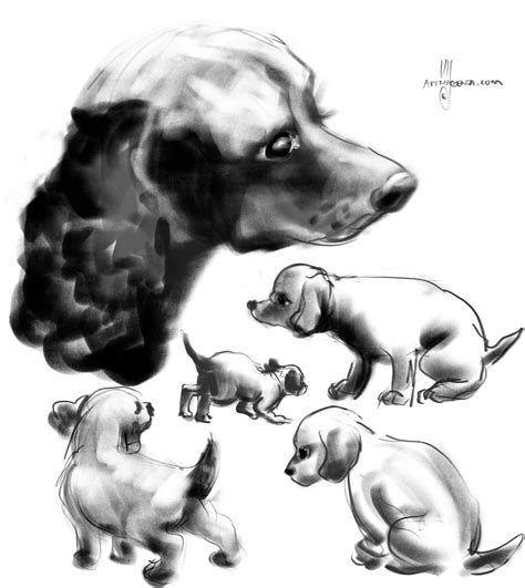 Sketchbook Cocker Spanials