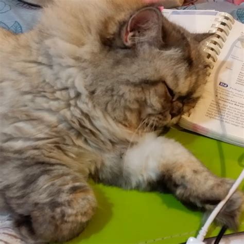 AKedOLR89vtG2BQlQpRAfT8xGYSagldg5UUrsezZKPPRLg S900 C K C0x00ffffff No Rj