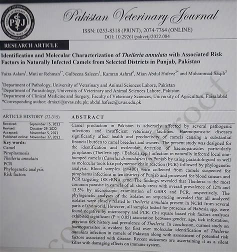 Pdf Identification And Molecular Characterization Of Theileria