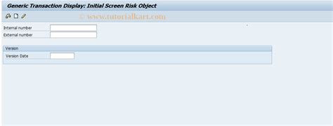 Rca03 Sap Tcode Display Risk Object Transaction Code