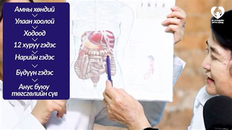 Эх хүүхдийн эрүүл мэнд Хүүхдийн хоол боловсруулах замын өвчлөл Facebook