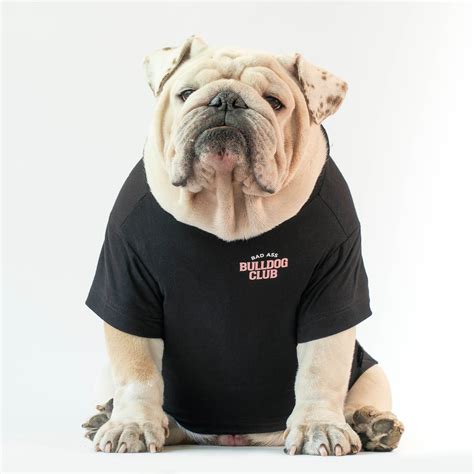 Wonton Bad Ass Bulldog Club T Shirt In Black And Light Pink Wonton