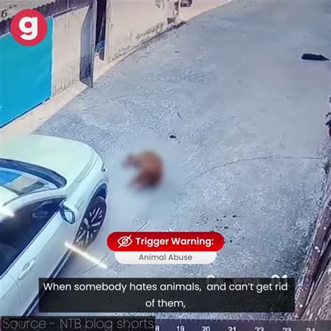 Video Kajal Meshram Posted On Linkedin