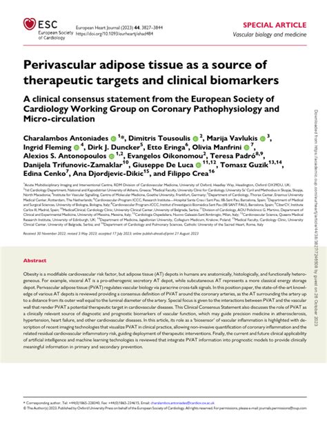 Perivascular Adipose Tissue 2023 B Pdf Adipose Tissue Inflammation
