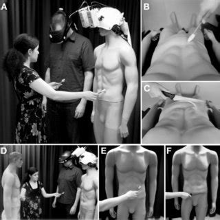 Experimental Set Up In Experiments 1 And 2 A Set Up Used To Create Download Scientific