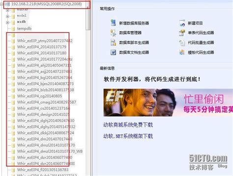 SQL Server 导出脚本及数据方法 阿里云开发者社区