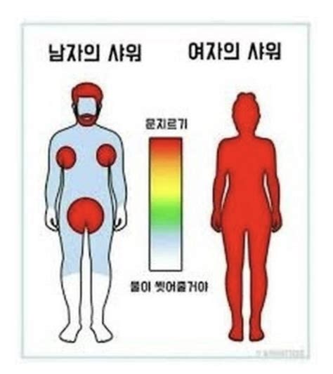 남자와 여자가 샤워하는 부위 차이 유머움짤이슈 에펨코리아