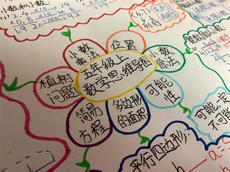 五年级思维导图大全集 图片 网专笔记